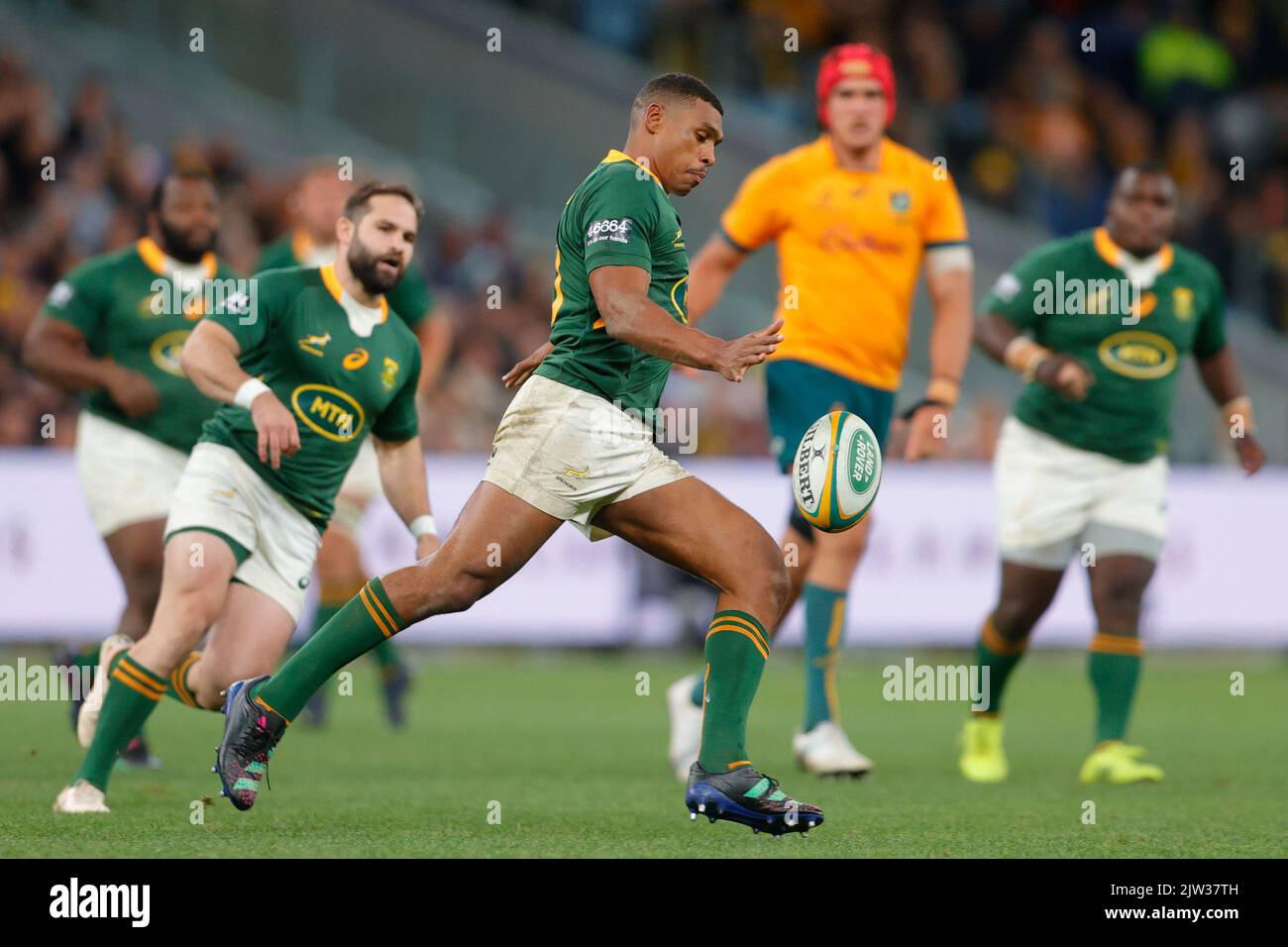 Damian willemse springboks hi-res stock photography and images - Alamy