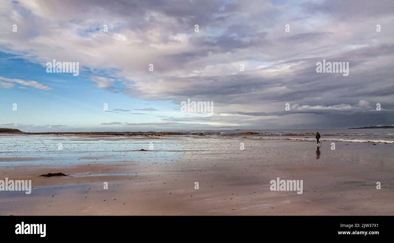 Tide is out. holy island causeway Stock Photo - Alamy
