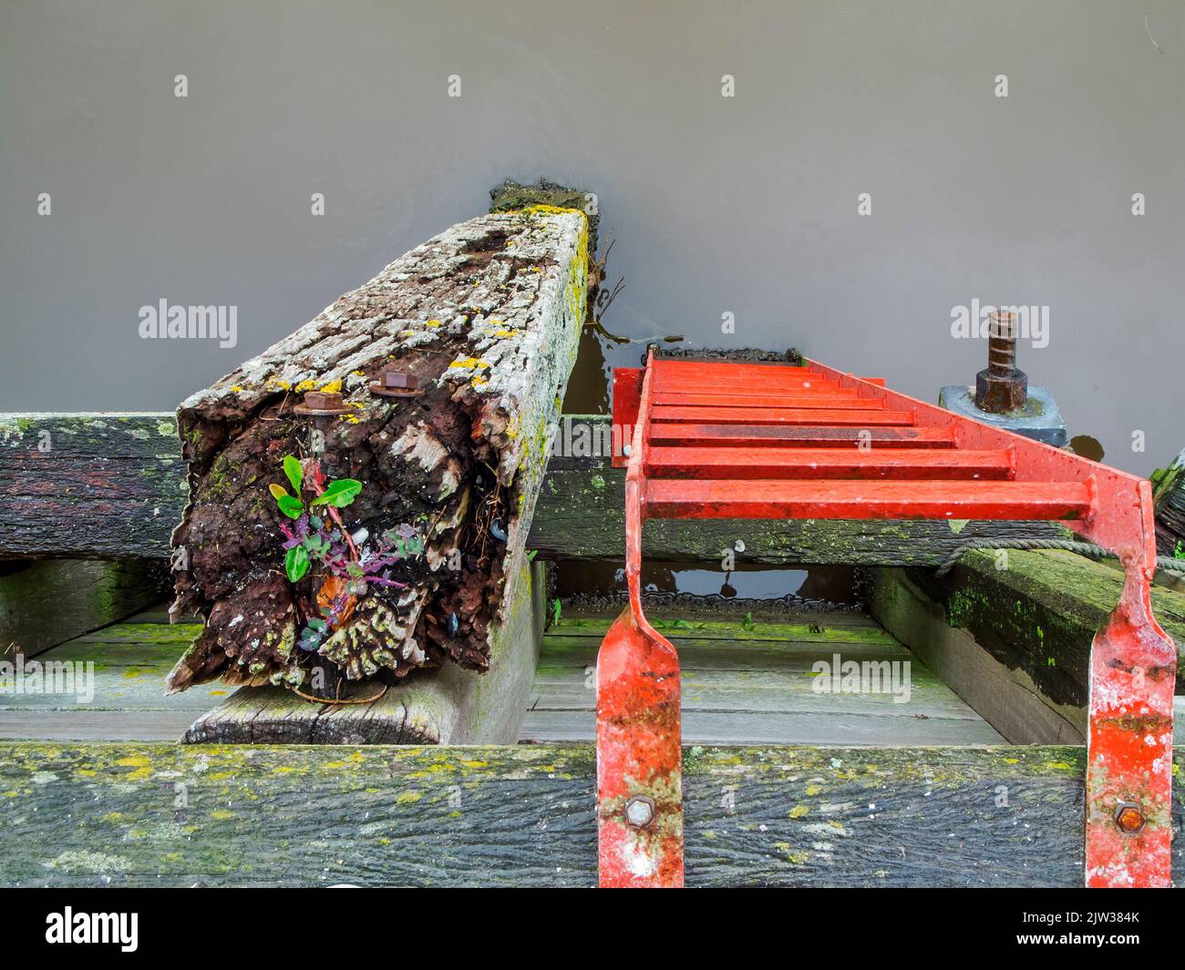 Top view of a red ladder next to a weathered wooden plank for mooring ...