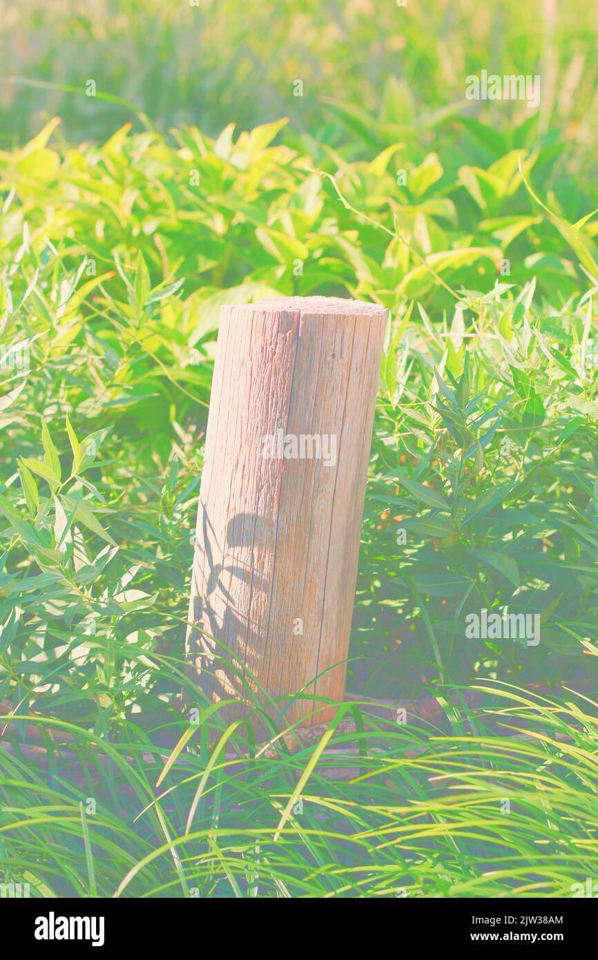 Standard typical wooden fence post standing in the meadow in a faded ...