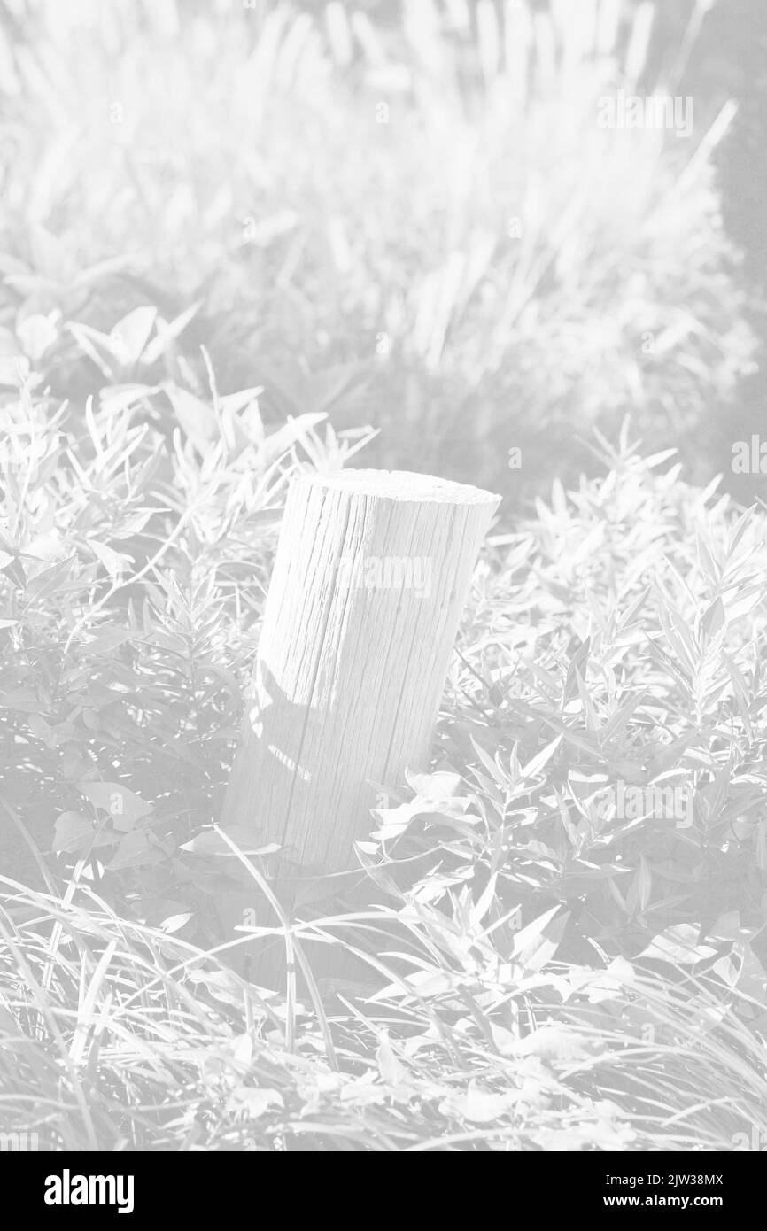 Standard typical wooden fence post standing in the meadow in a faded ...