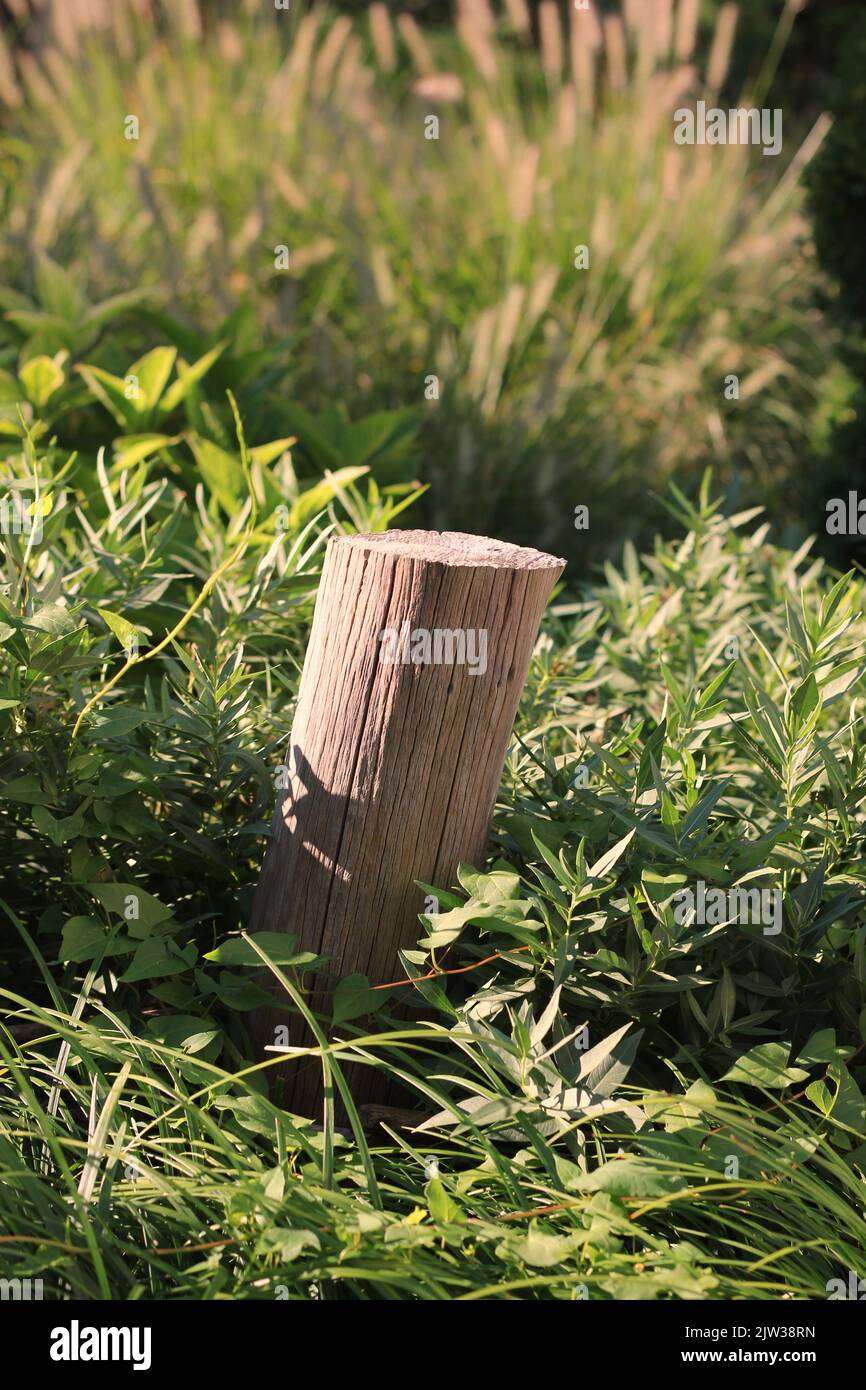 Standard typical wooden fence post standing in the meadow Stock Photo ...