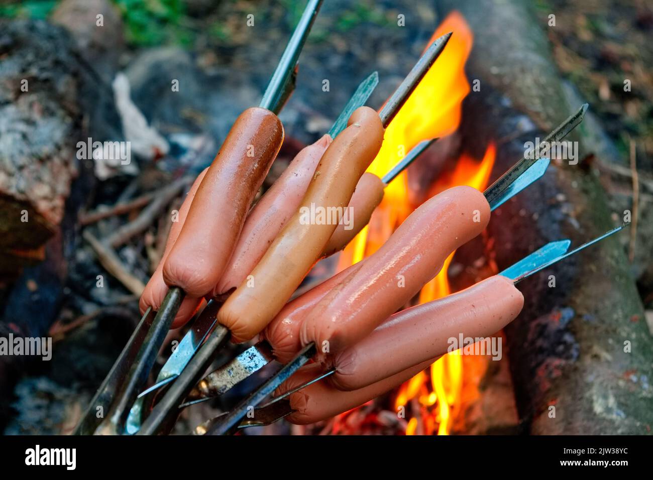 Rustic sausage on a skewer at the stake-sausages are fried over an open ...