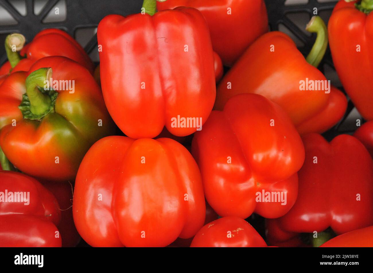 Redpeper fruit hi-res stock photography and images - Alamy