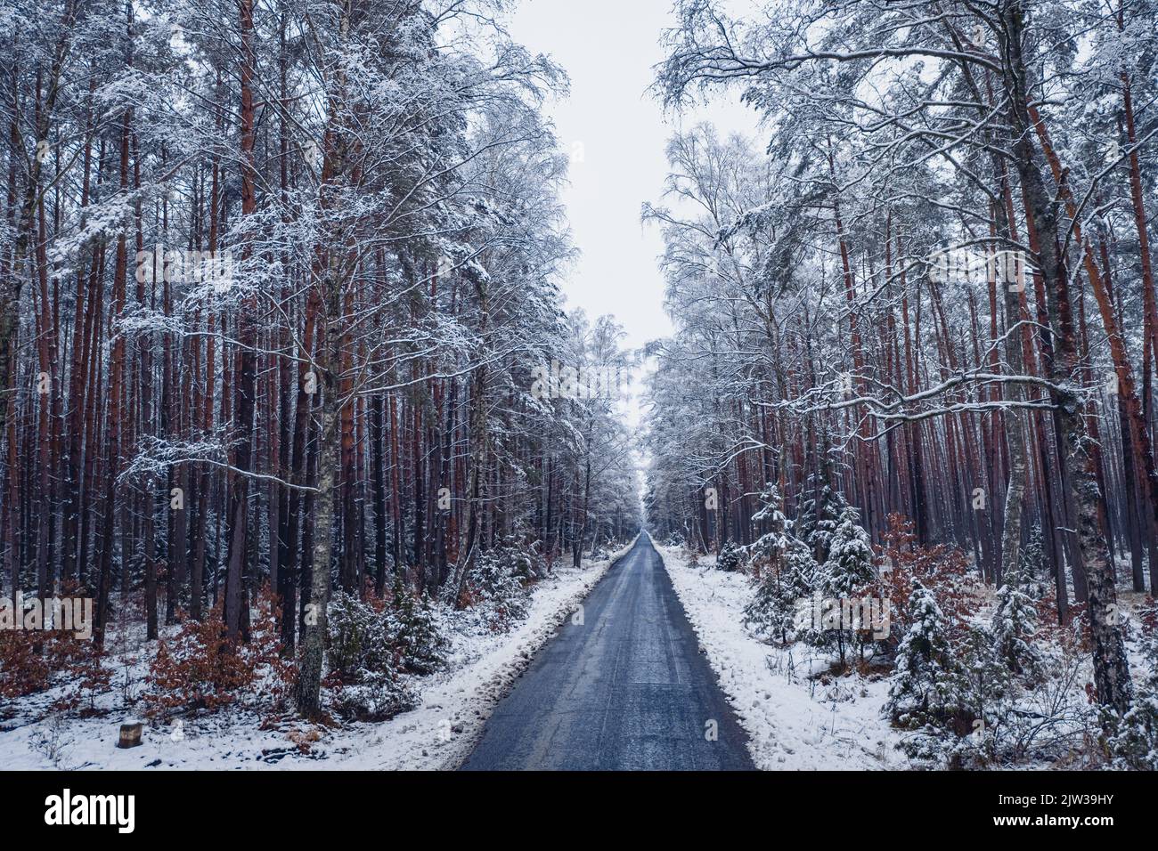 Transport in winter. Asphalt road through snowy forest.Aerial view of ...