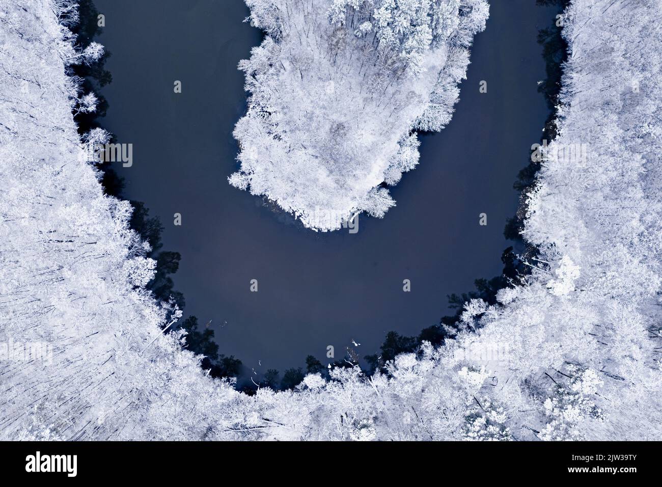 Top down view of curvy river and frozen forest in winter, aerial view ...