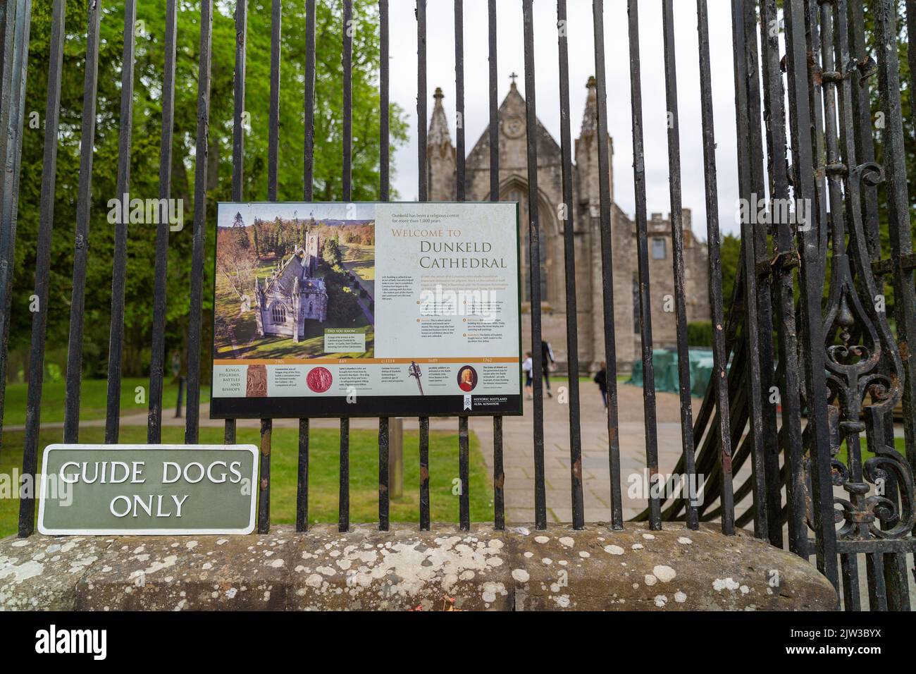 Dunkeld tree cathedral hi-res stock photography and images - Alamy