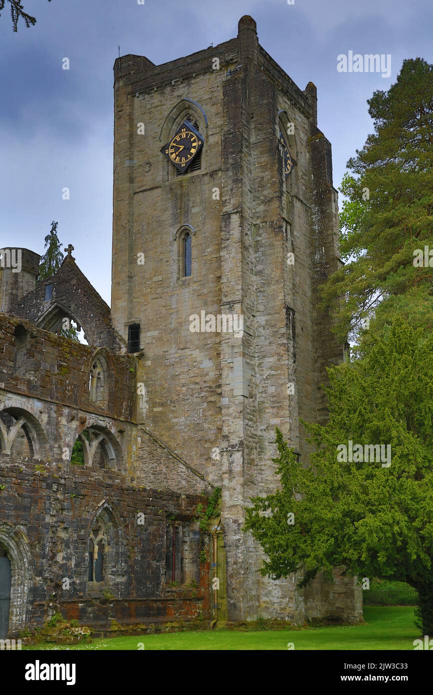 Dunkeld tree cathedral hi-res stock photography and images - Alamy