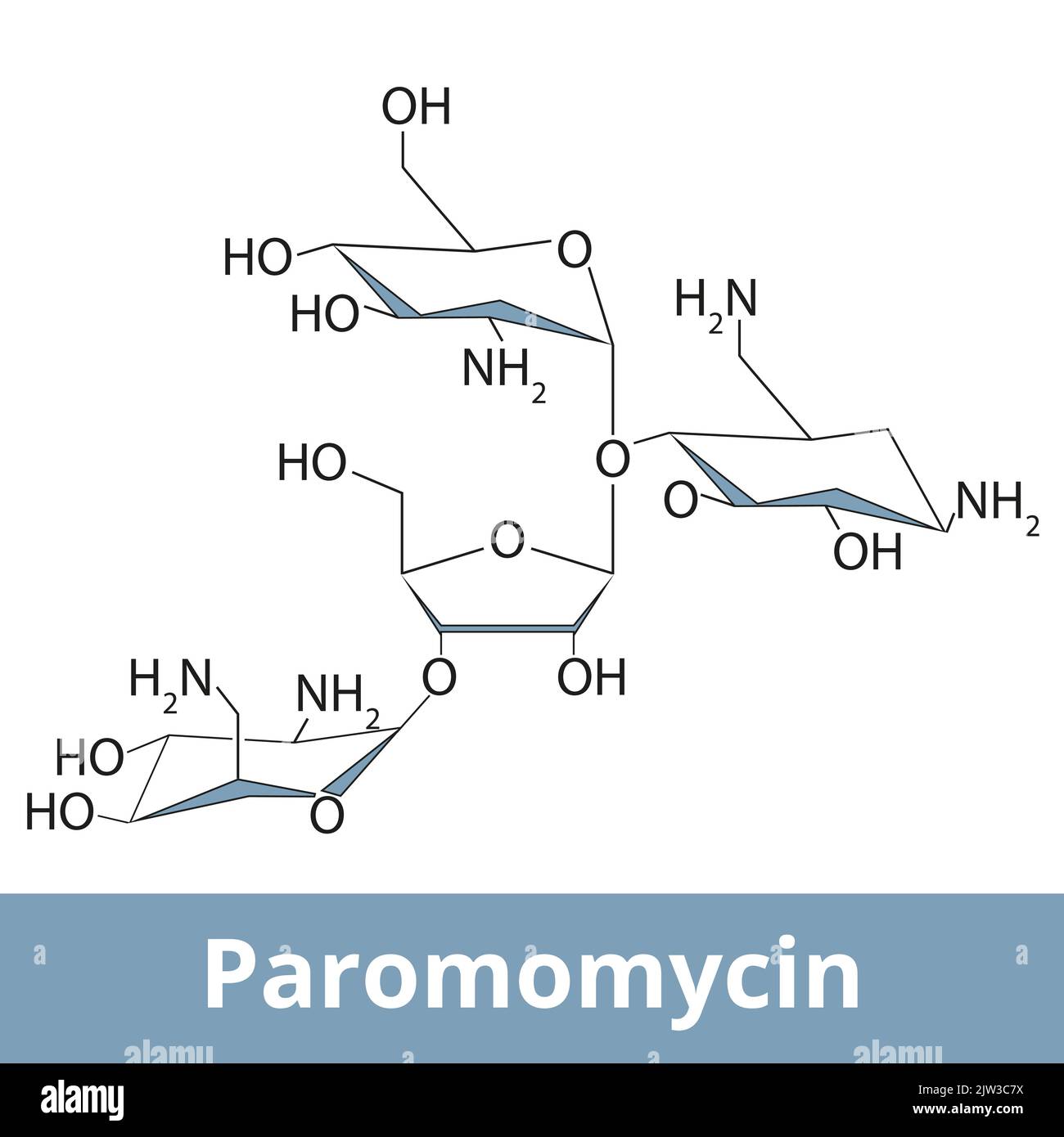 Paromomycin. An antimicrobial used to treat parasitic infections ...
