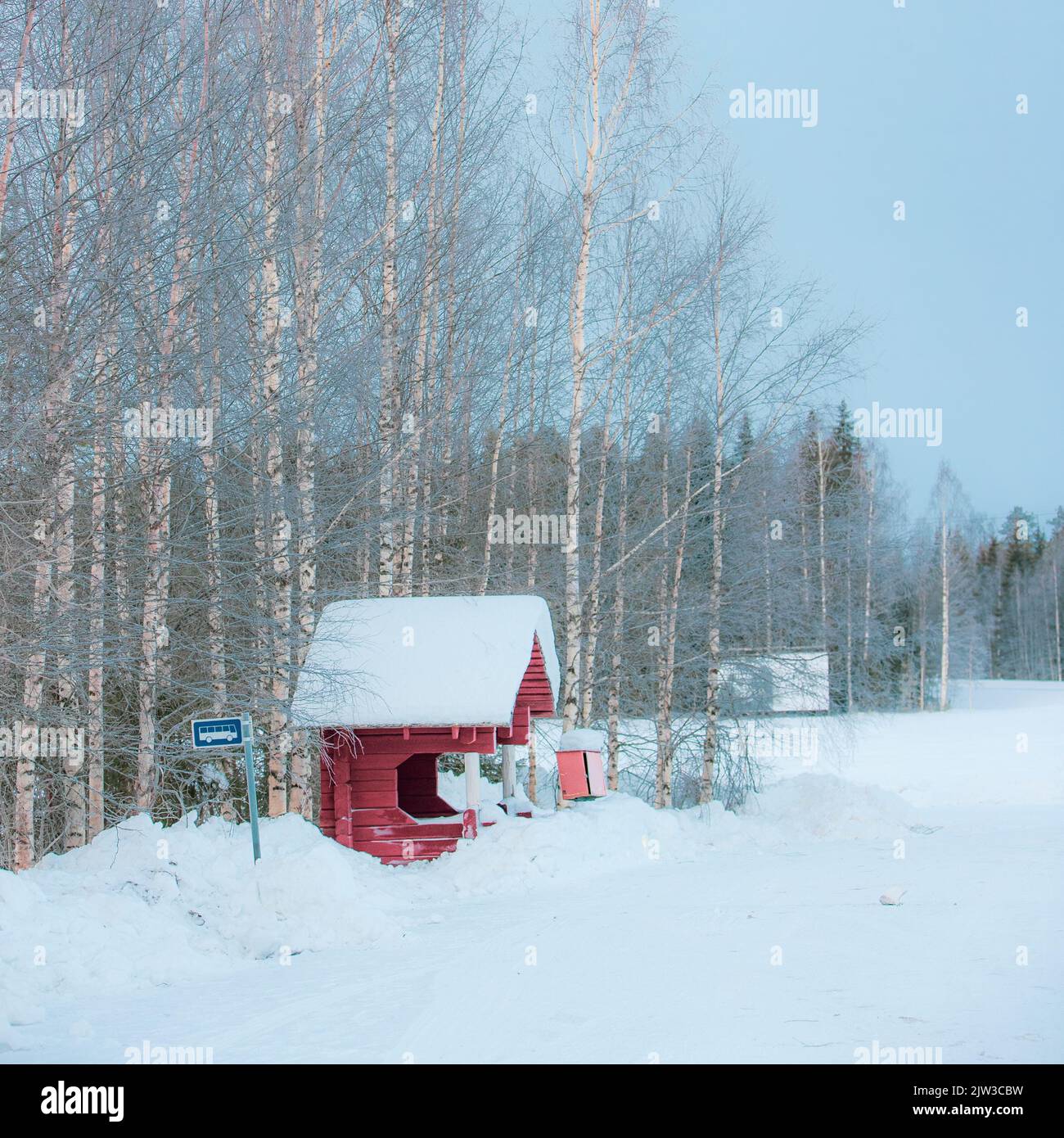 A bus stop in the middle of a forest with trees covered in snow in ...