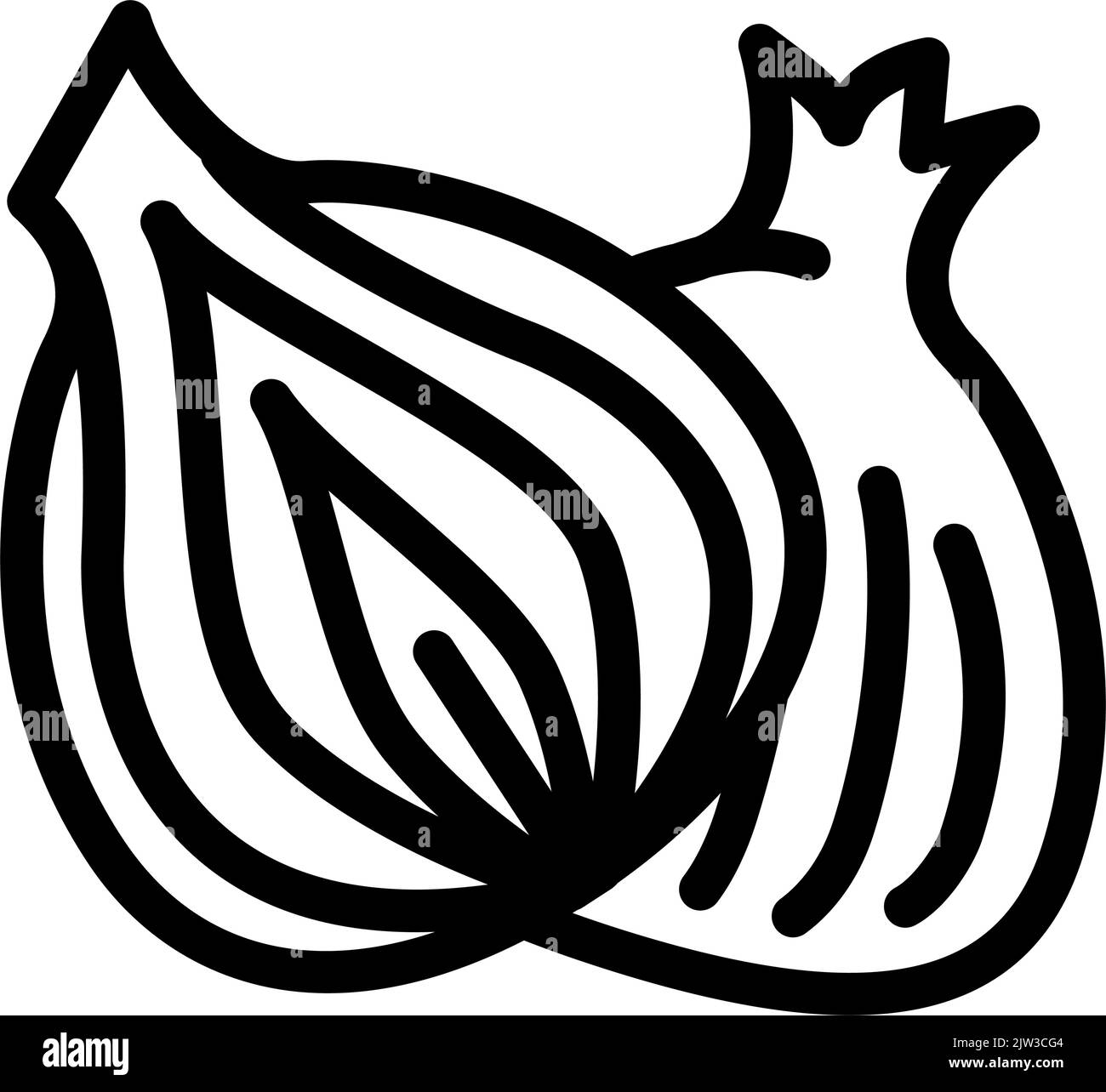 onion cut line icon vector illustration Stock Vector Image & Art - Alamy