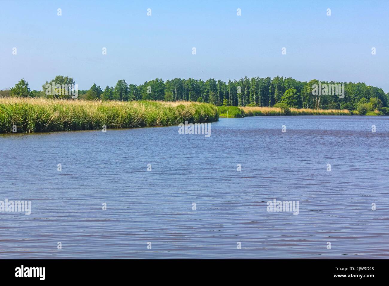 Beautiful natural landscape view panorama with forest trees and water ...