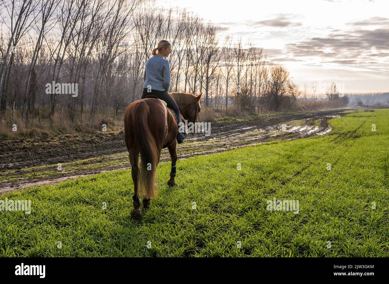 Riding brown horse hi-res stock photography and images - Alamy