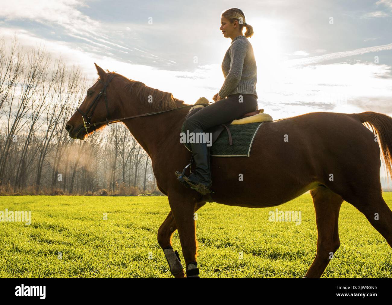 Beautiful young woman riding brown horse in field Stock Photo - Alamy