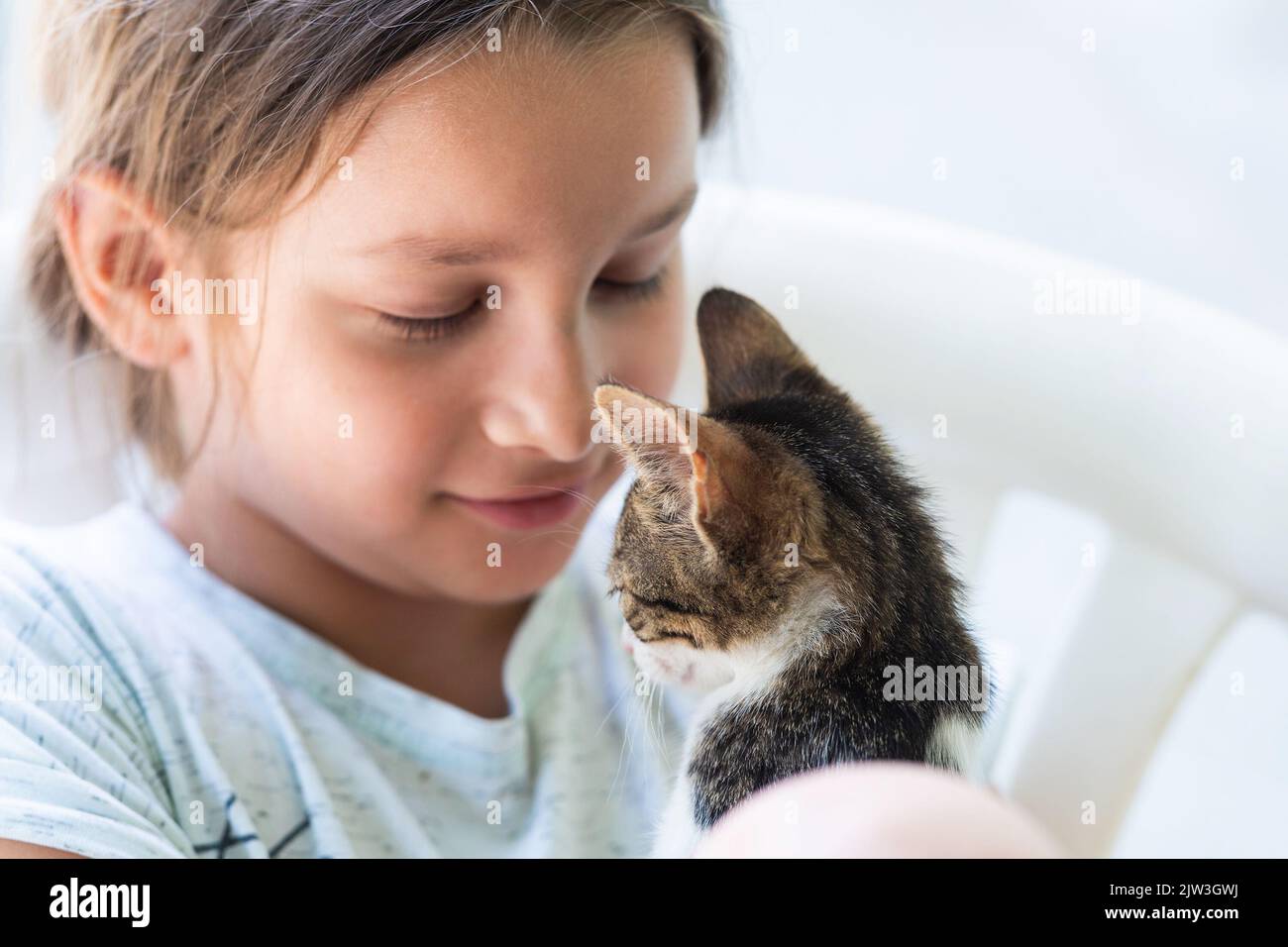 Little girl holding baby cat. Kids and pets Stock Photo - Alamy
