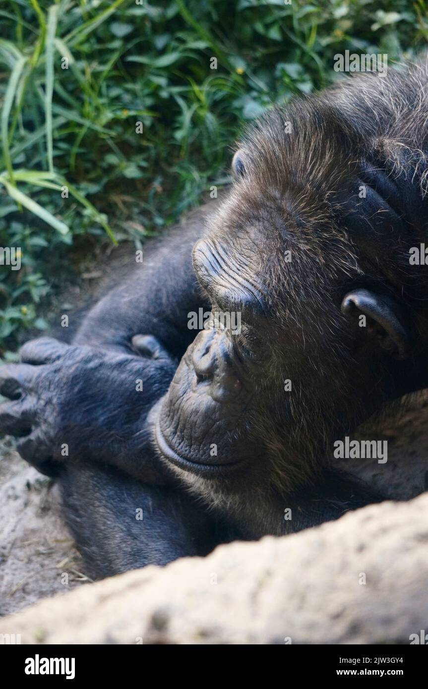 Que hacer en mexico hi-res stock photography and images - Alamy