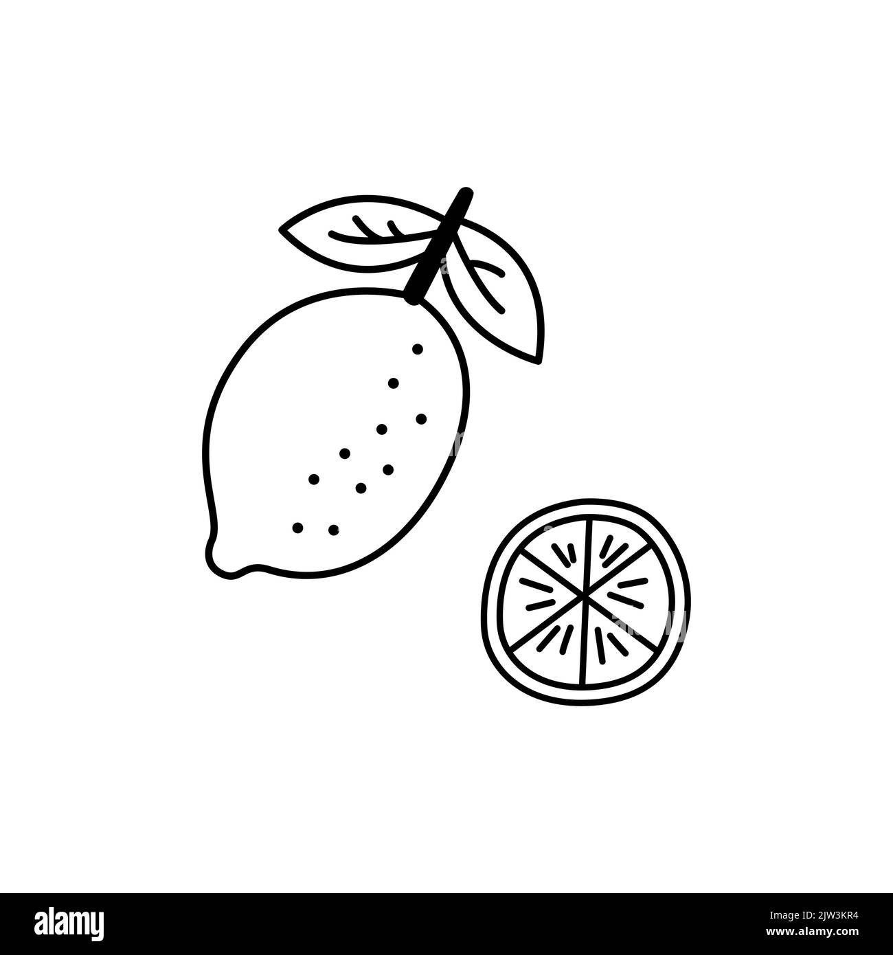 Lemon doodle linear. Cute lime with leaves. Tea party element on a ...