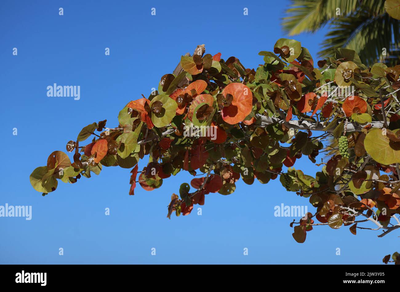 Piedra national park cuba hi-res stock photography and images - Alamy