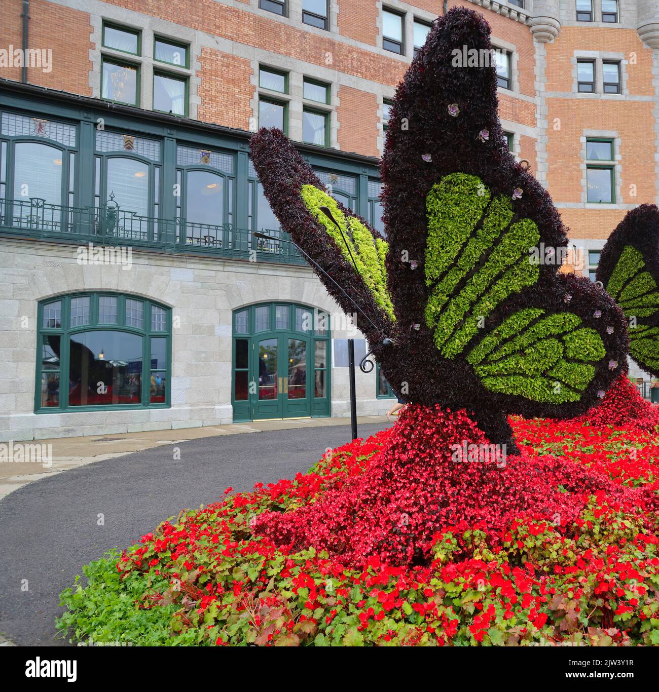 Beautiful butterfly-shaped flower beds filled with flowers in Quebec ...
