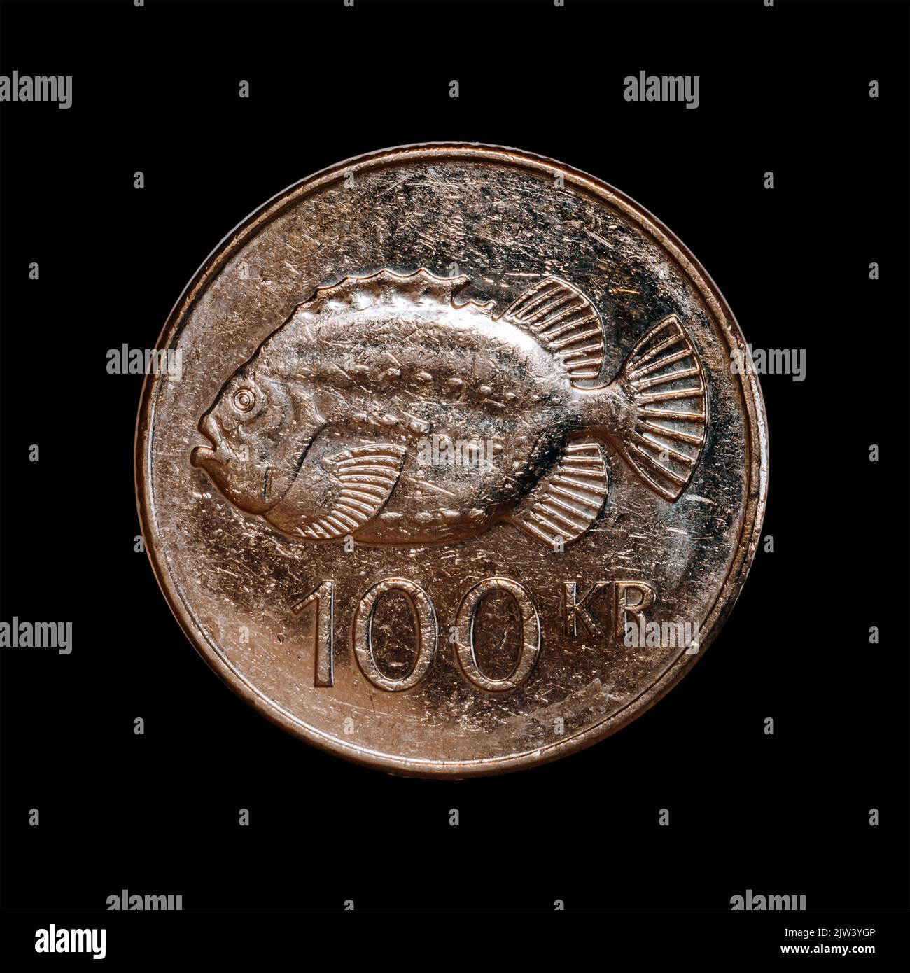A view of a 100 Icelandic Kronur coin isolated on a black background ...