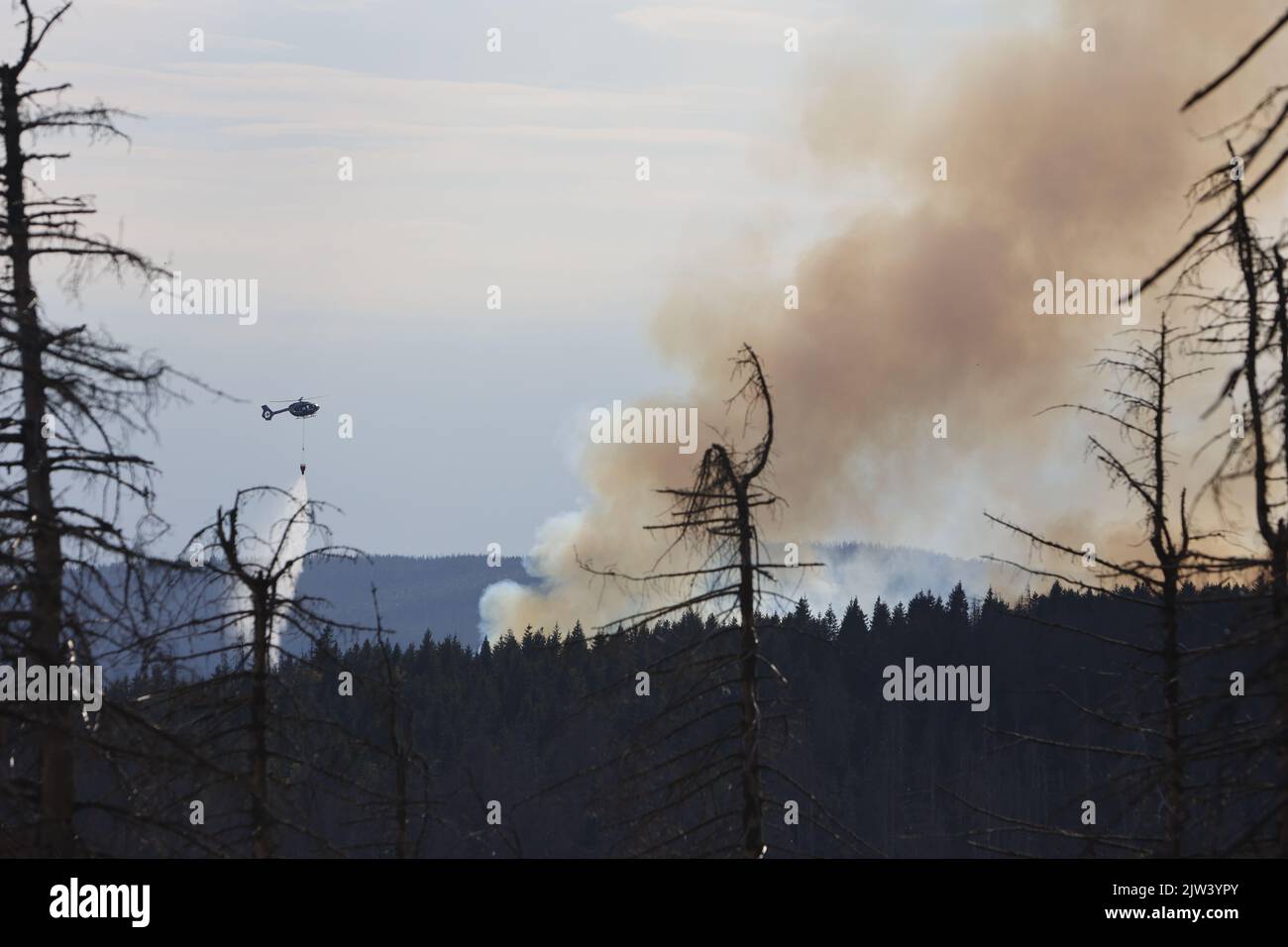 Harz, Germany. 03rd Sep, 2022. Fire at the Brocken. Columns of smoke ...