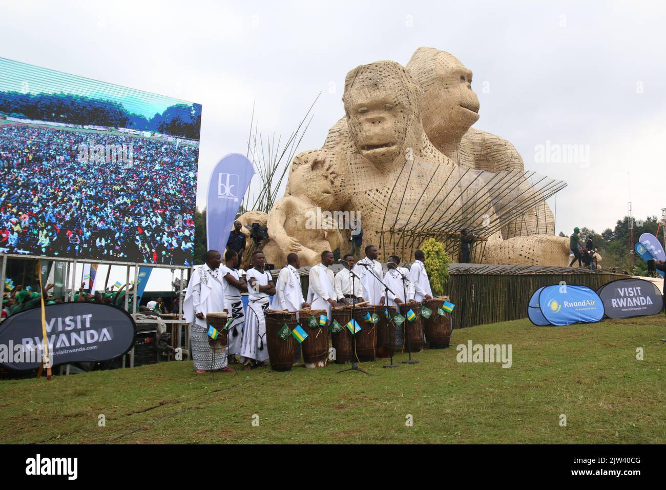 Names a gorilla hi-res stock photography and images - Alamy