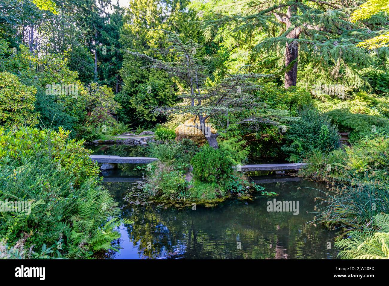A pond at gardens in Seattle, Washington Trees and bushes Stock Photo ...