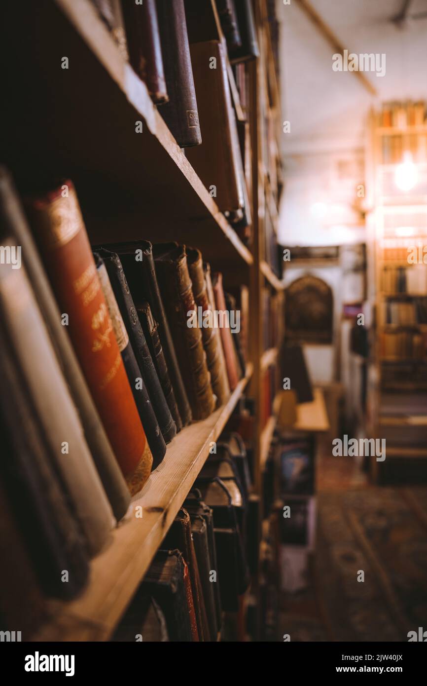 Inside one of the world's most beautiful bookshops, Armchair books ...