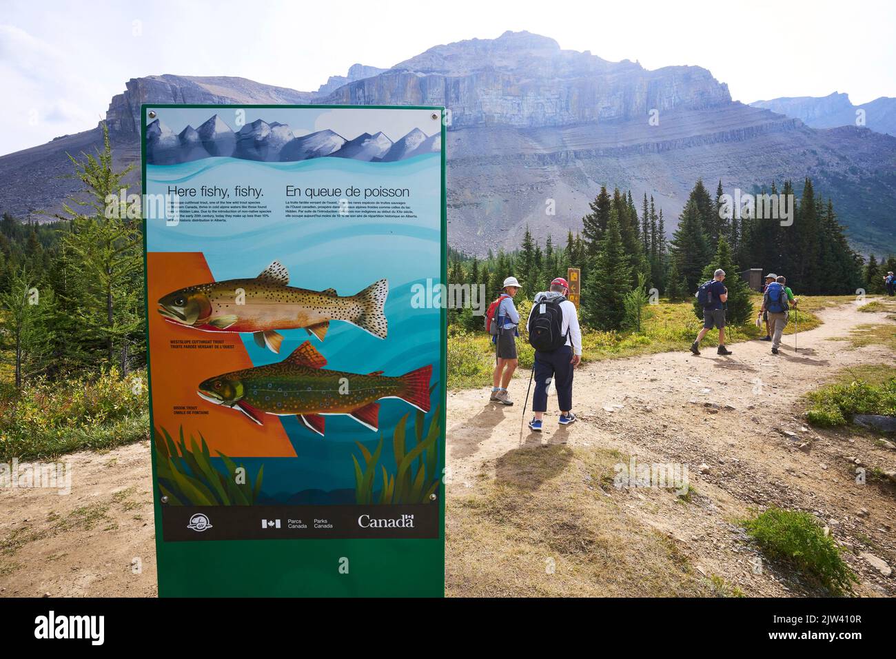 Parks Canada signs show hikers the project to reintroducing the native ...