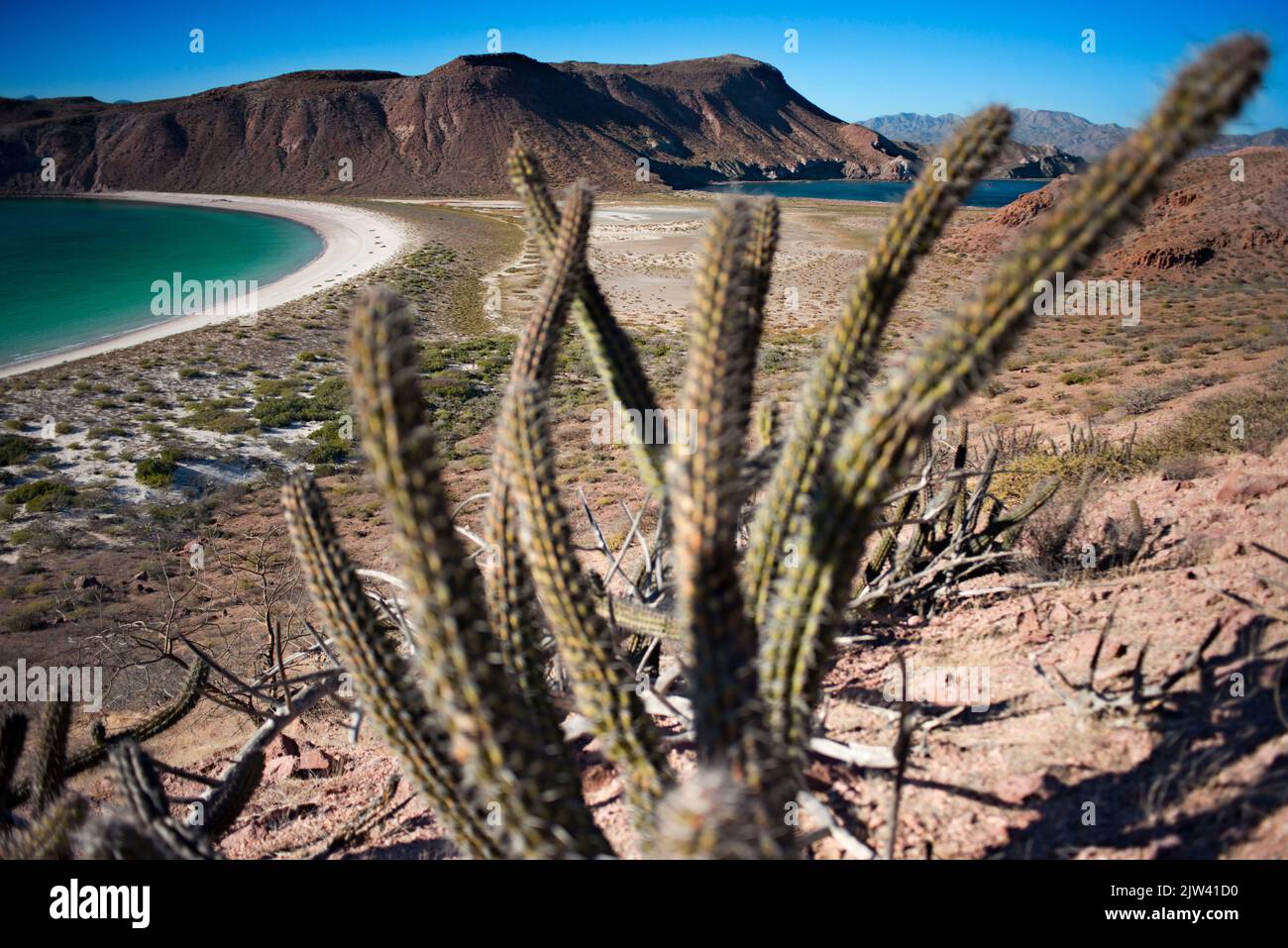 Isla San Francisco, Sea of Cortes, Baja California Sur, Mexico. The ...