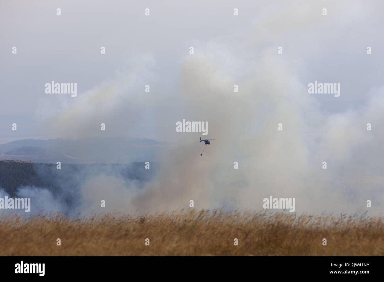 Harz, Germany. 03rd Sep, 2022. A fire-fighting helicopter in action ...