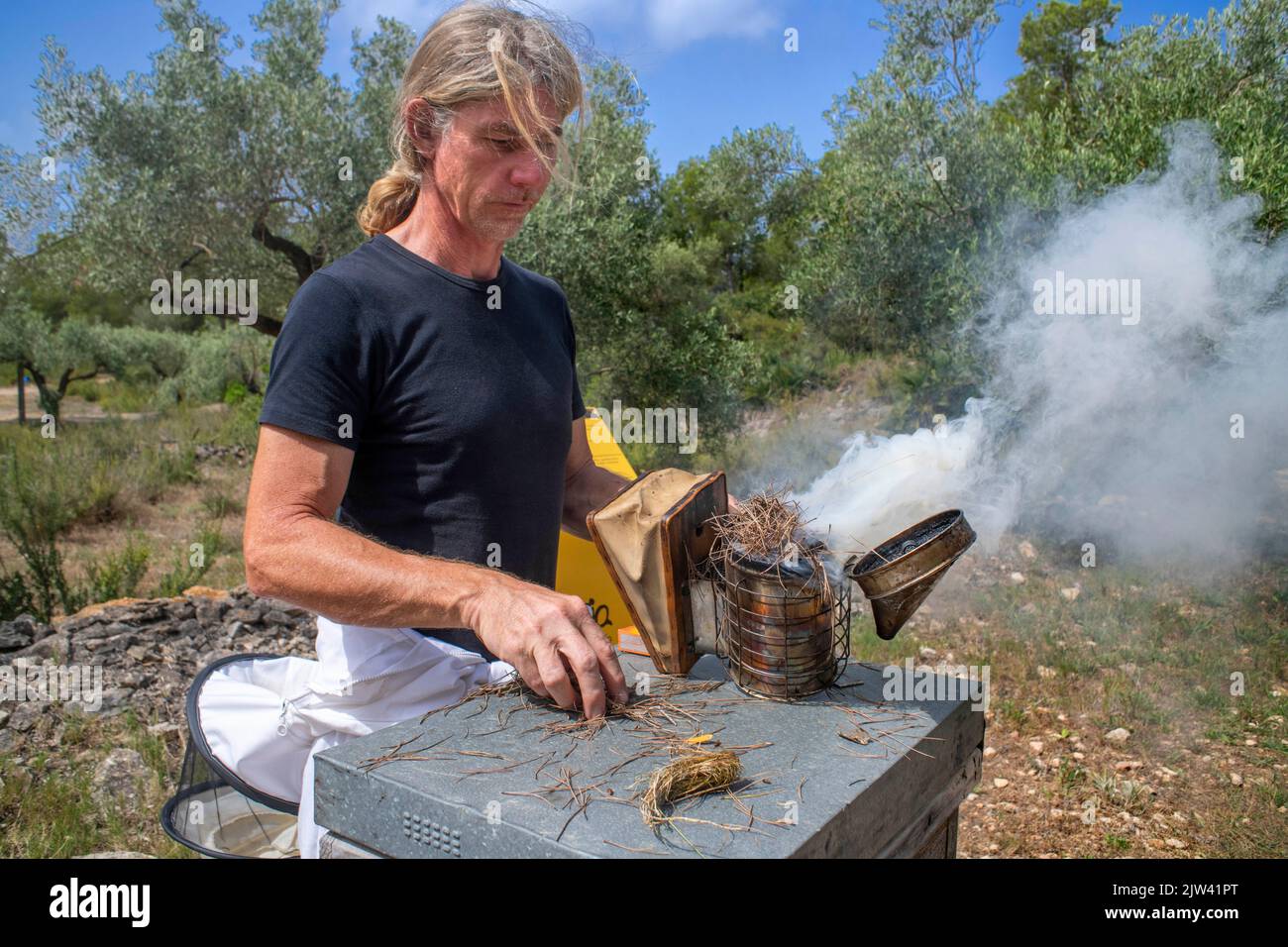 Beekeeper or honey farmer in Murià El Perelló, Tarragona Spain ...