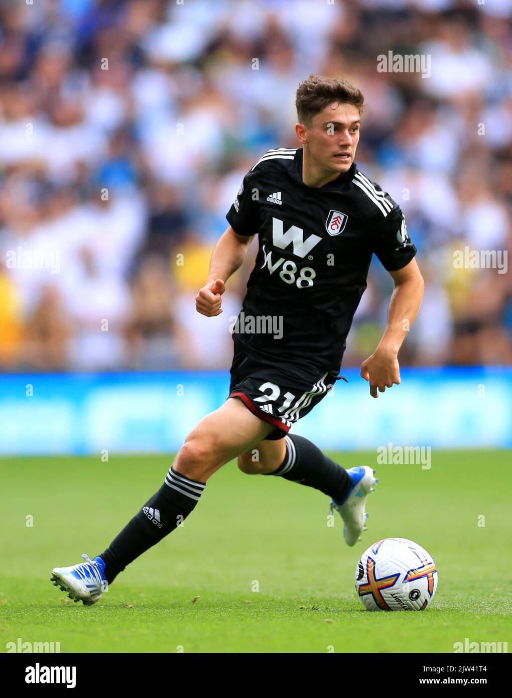 Daniel james fulham hi-res stock photography and images - Alamy