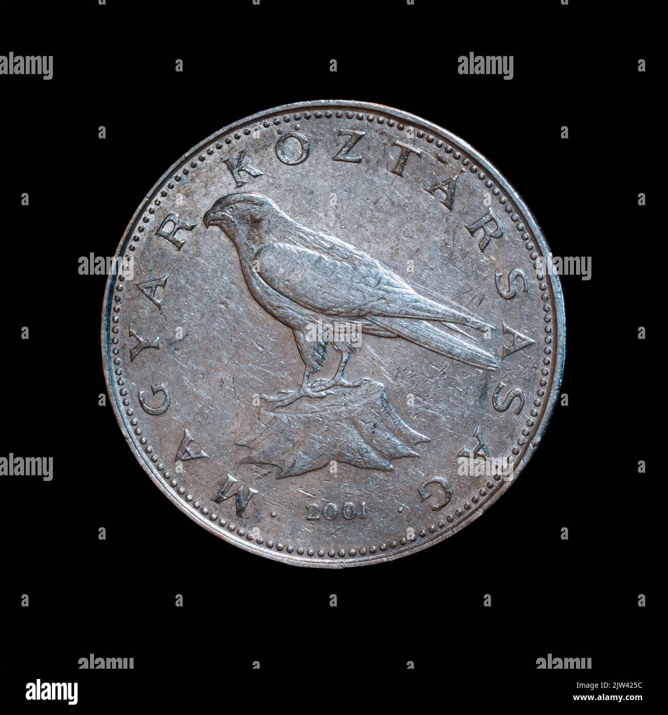 the reverse side of a fifty Forint coin Stock Photo - Alamy