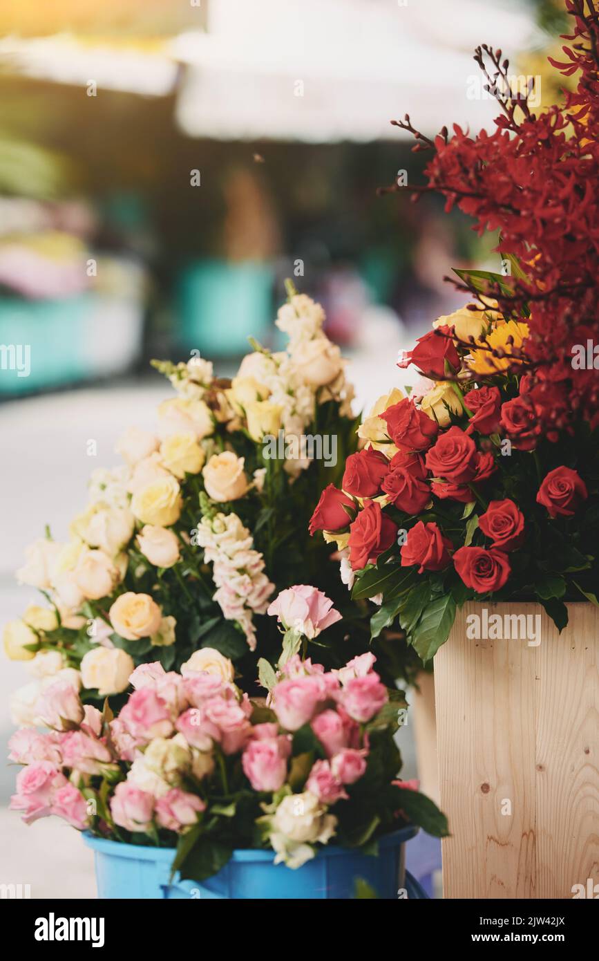 Beautiful roses of diffrent colors on counter of florist Stock Photo ...