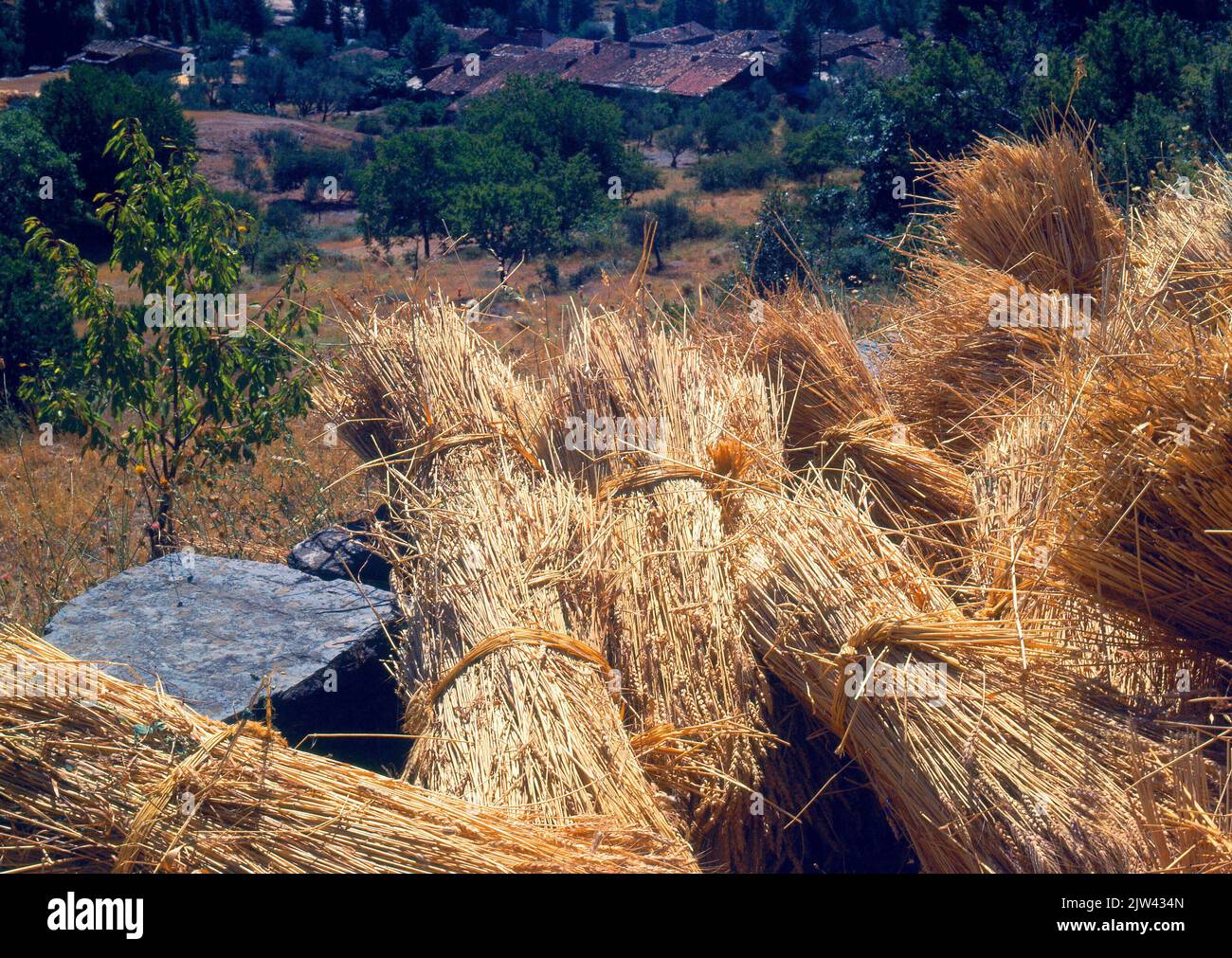 Gavillas de trigo hi-res stock photography and images - Alamy