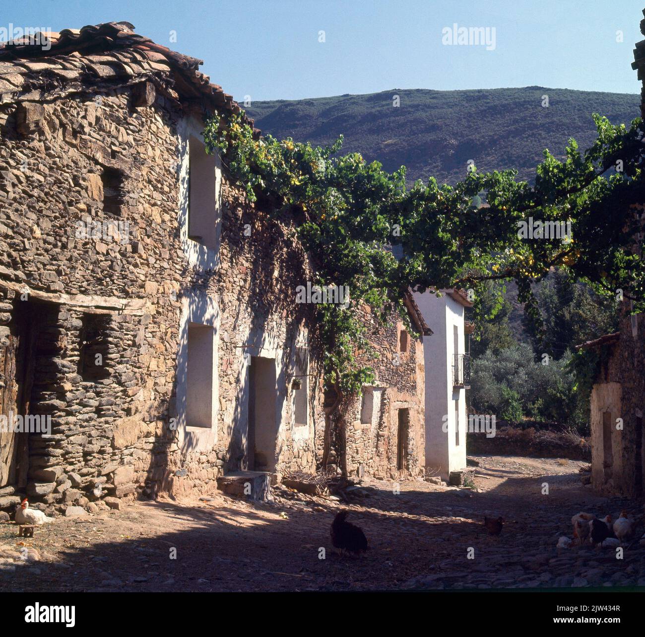 CALLE CON UNA PARRA EN FORMA DE ARCO - FOTO AÑOS 60. Location: EXTERIOR ...