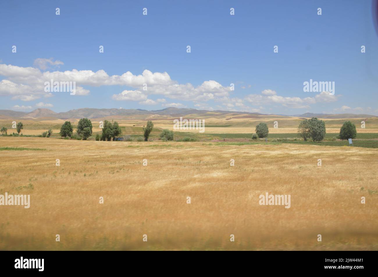 Doguekspresi hi-res stock photography and images - Alamy