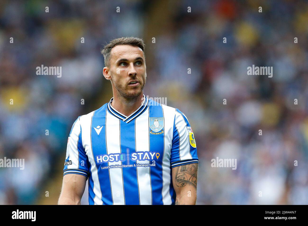 Lee Gregory #9 of Sheffield Wednesday during the Sky Bet League 1 match ...