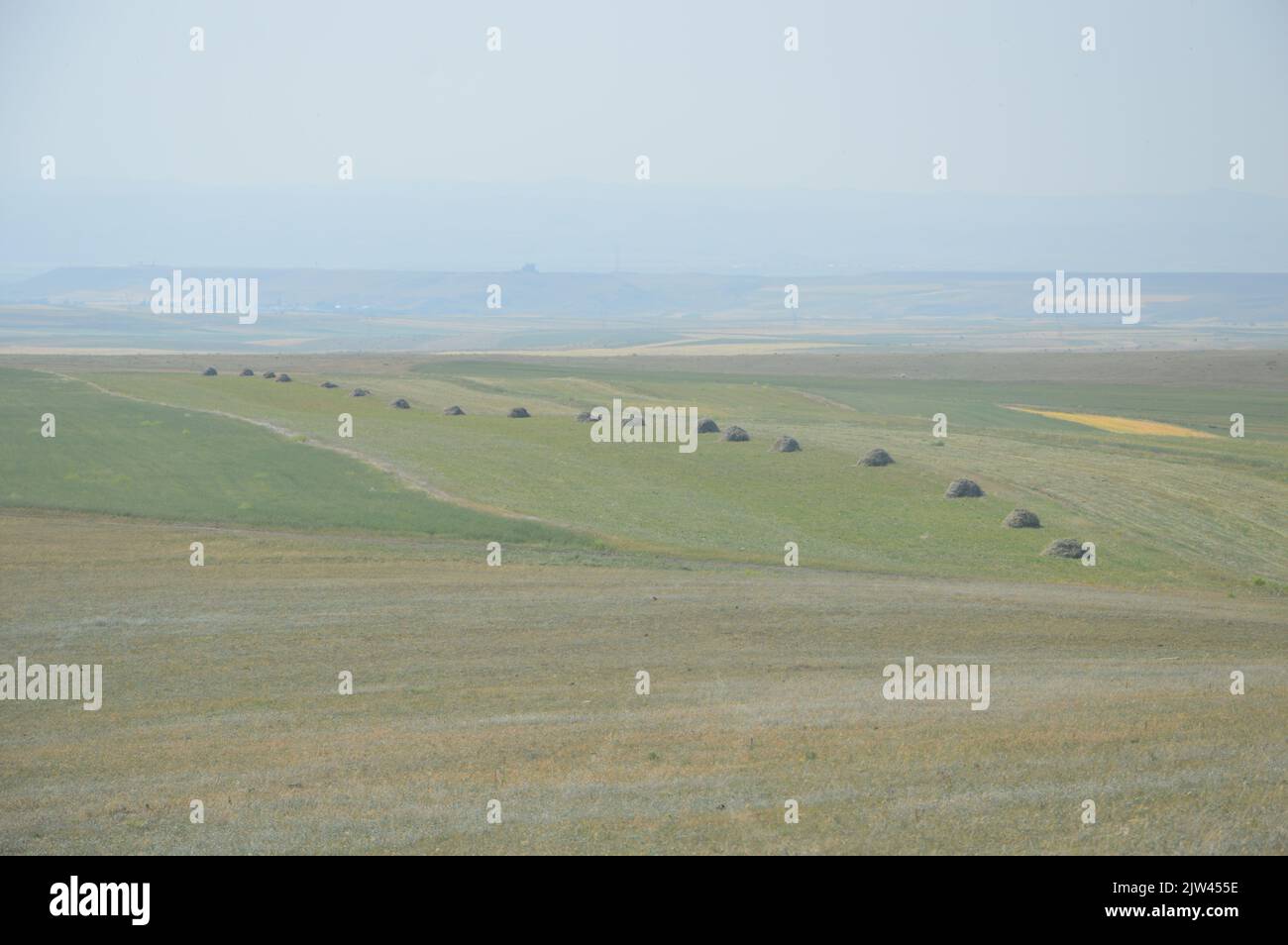 Doguekspresi hi-res stock photography and images - Alamy