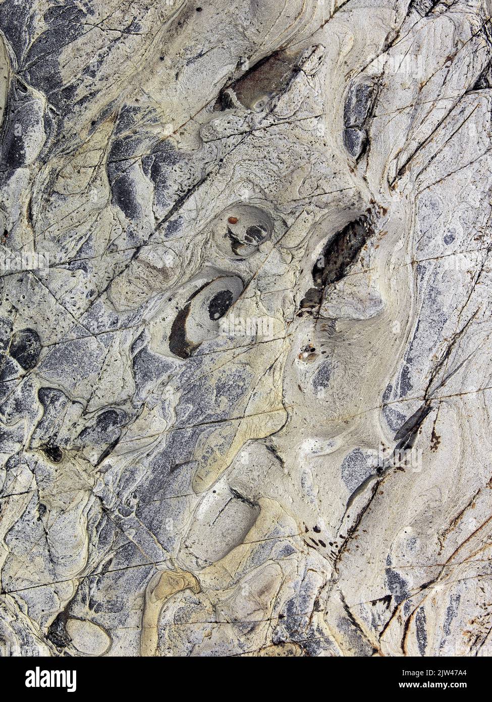 Stunning patterns formed in the rocks around Cornwallis coastline ...