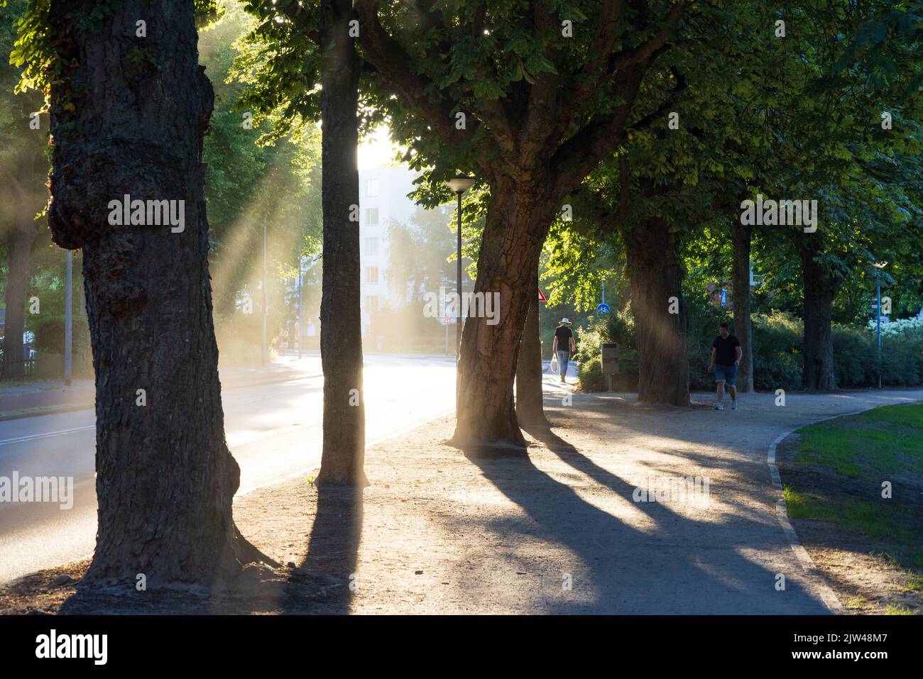 Landscape of public park Noorderplantsoen in Groningen city in The ...