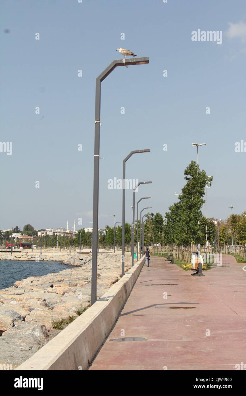 Tuzlasahil hi-res stock photography and images - Alamy