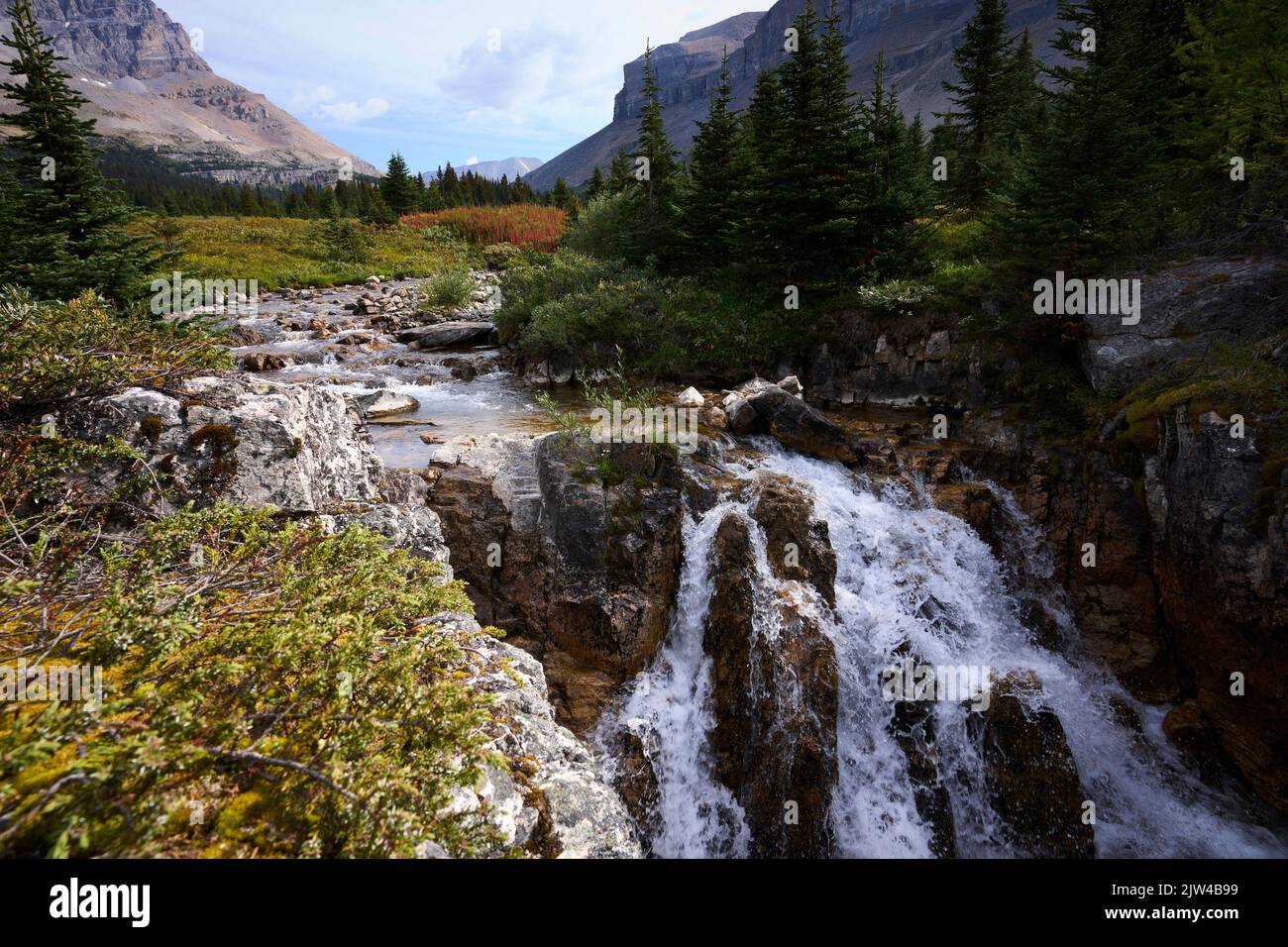 Waterfalls along a stream makes a barrier so non-native fish can‚Äôt ...