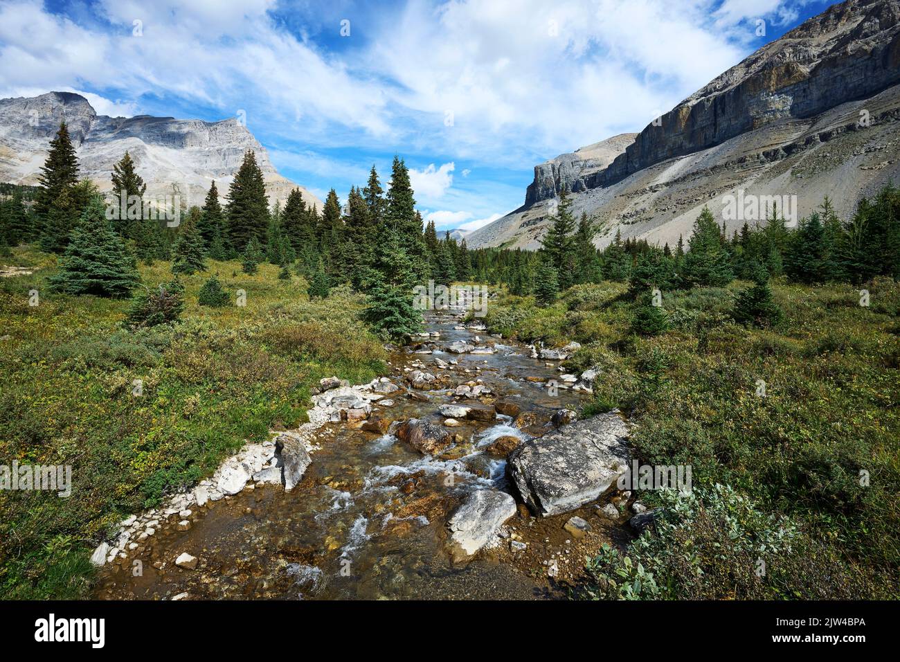 A stream from Hidden Lake in Banff National Park where researchers are ...