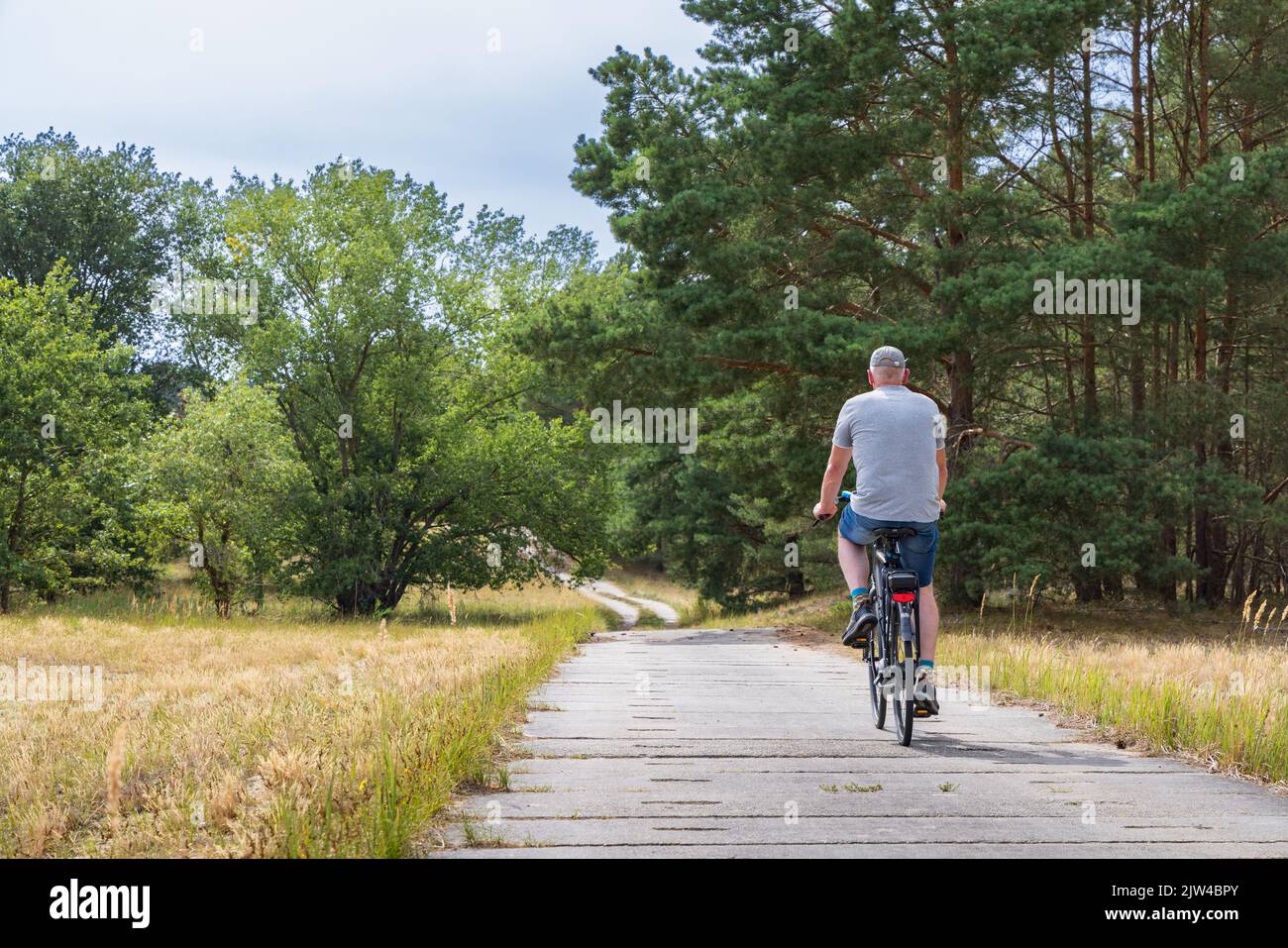 Tourist cycling along the green belt near Domitz former inner-German ...