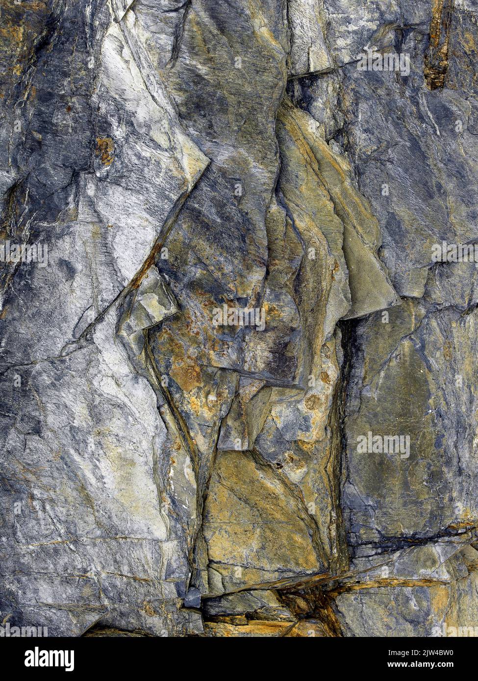 Stunning patterns formed in the rocks around Cornwallis coastline ...