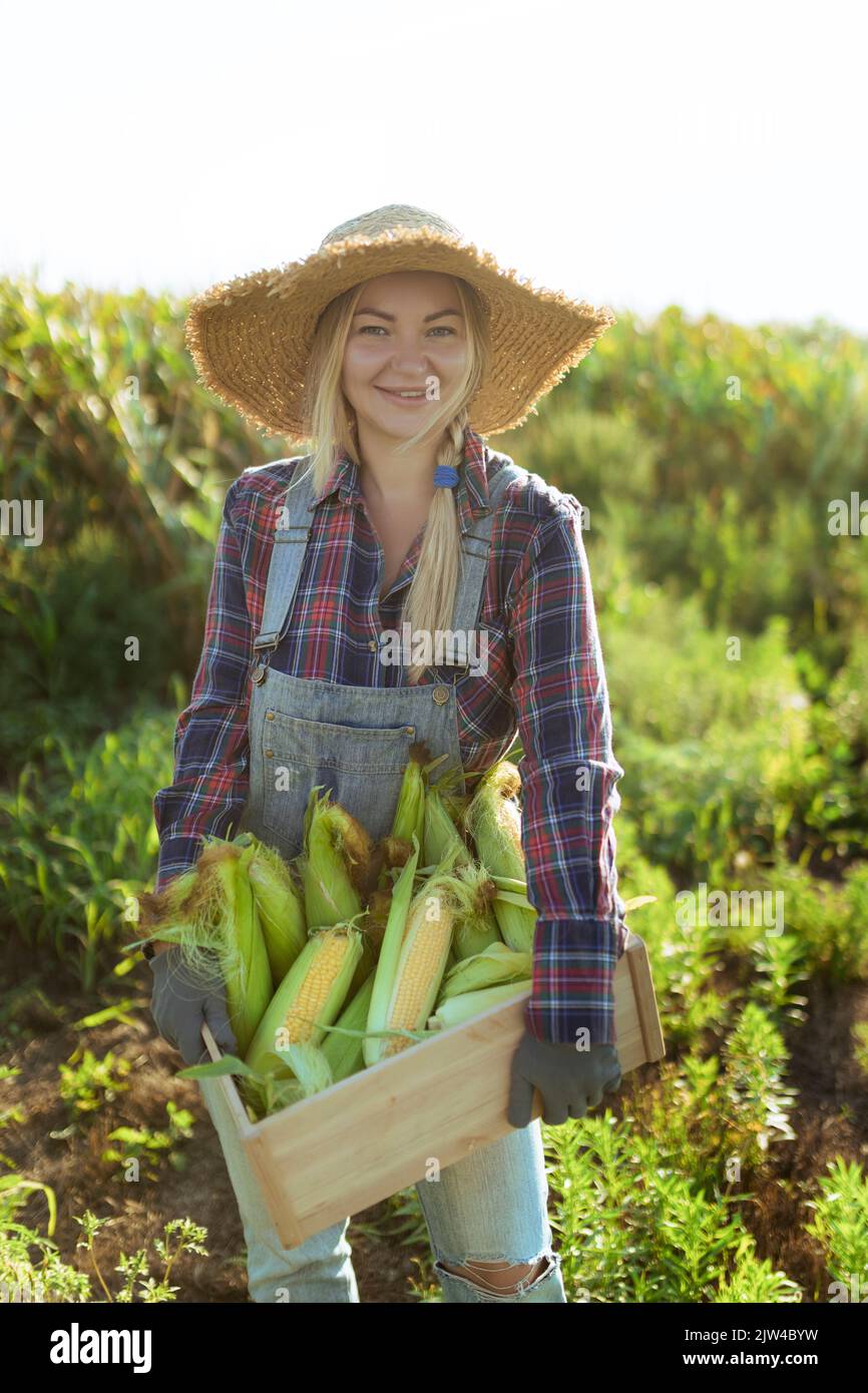 Corn on the cob hand hi-res stock photography and images - Alamy