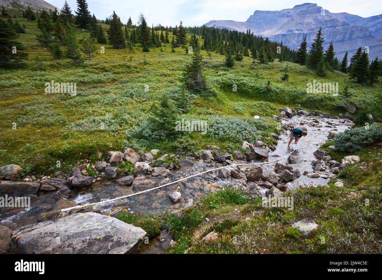 Parks Canada ecosystems scientist Megan Goudie works on the project to ...