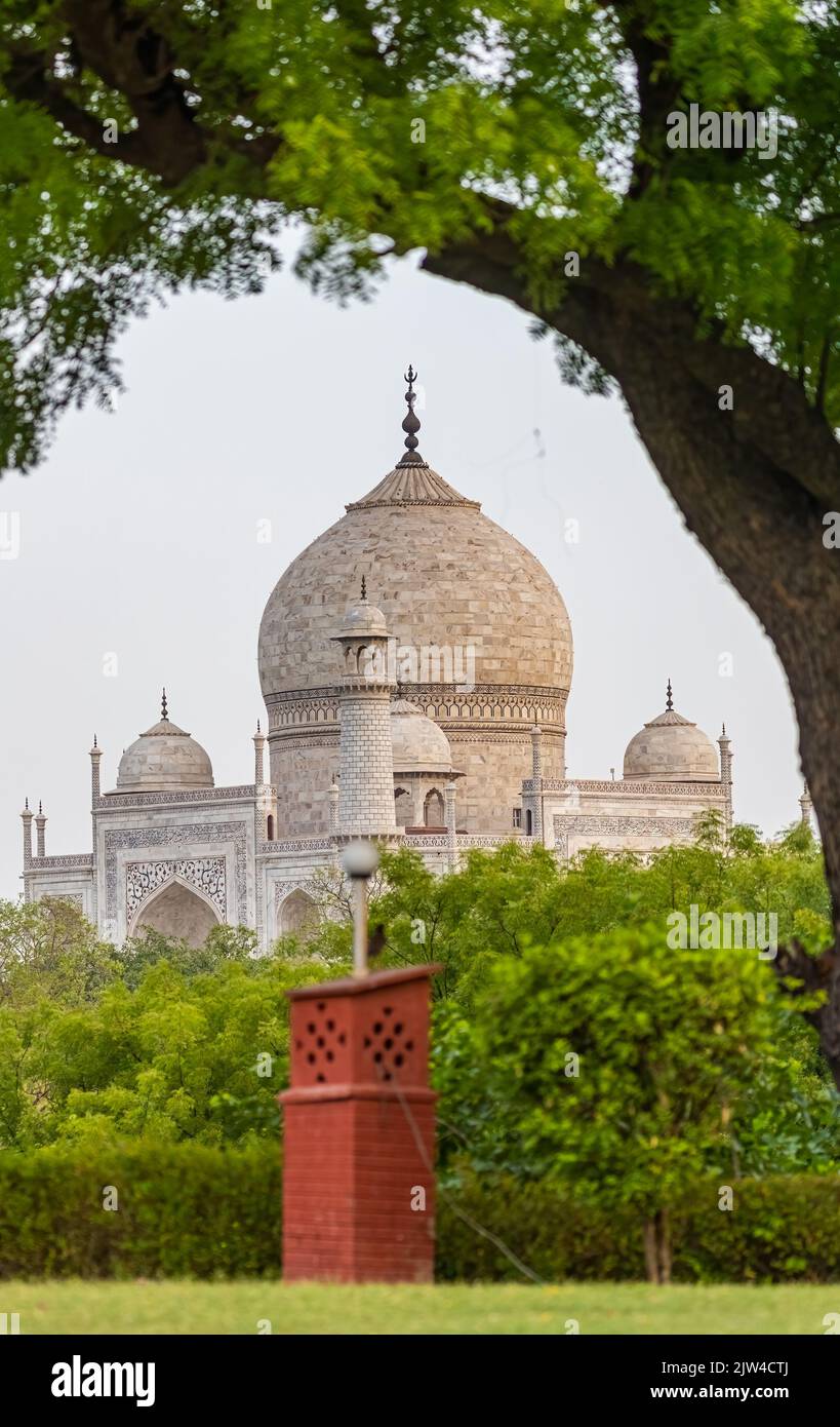 A vertical shot of Taj Mahal seen from behind a tree Stock Photo - Alamy